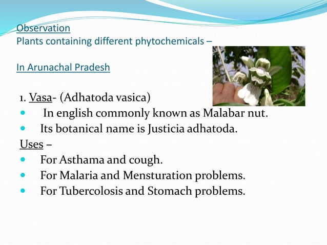 Phytochemicals found in medicinal plants | PPTX