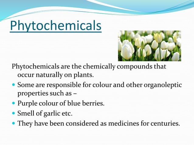 Phytochemicals found in medicinal plants | PPTX