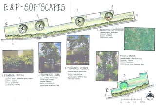 Project 2A content | PPT