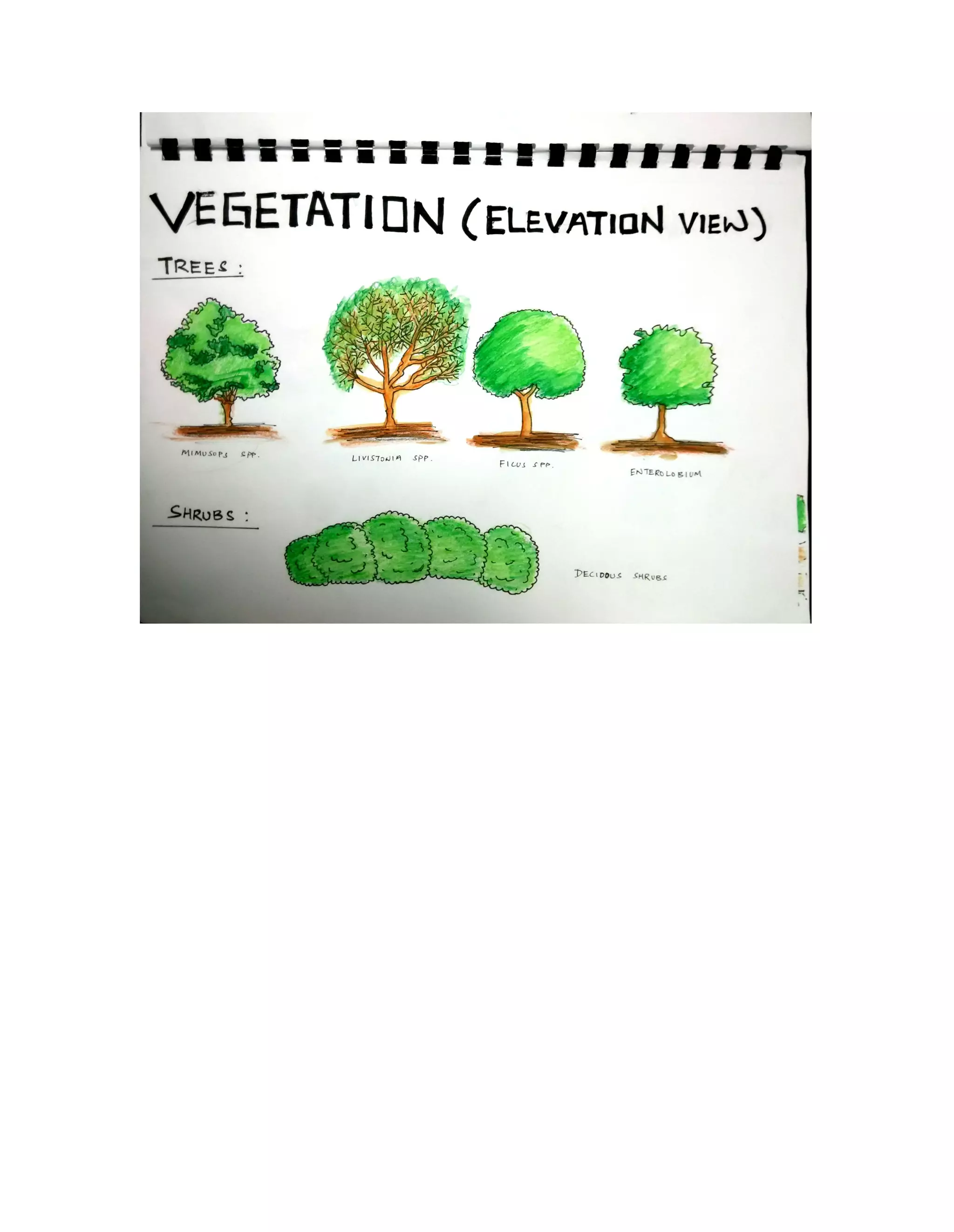 Project 2 graphic journal | PDF