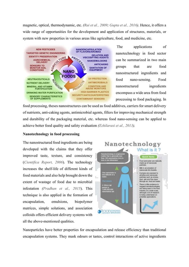 Implementation of nanotechnology in development of functional foods | Food Technology | PDF