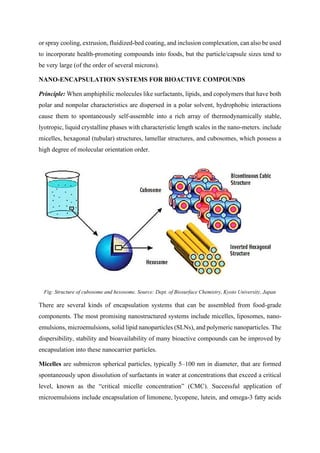 Implementation of nanotechnology in development of functional foods ...