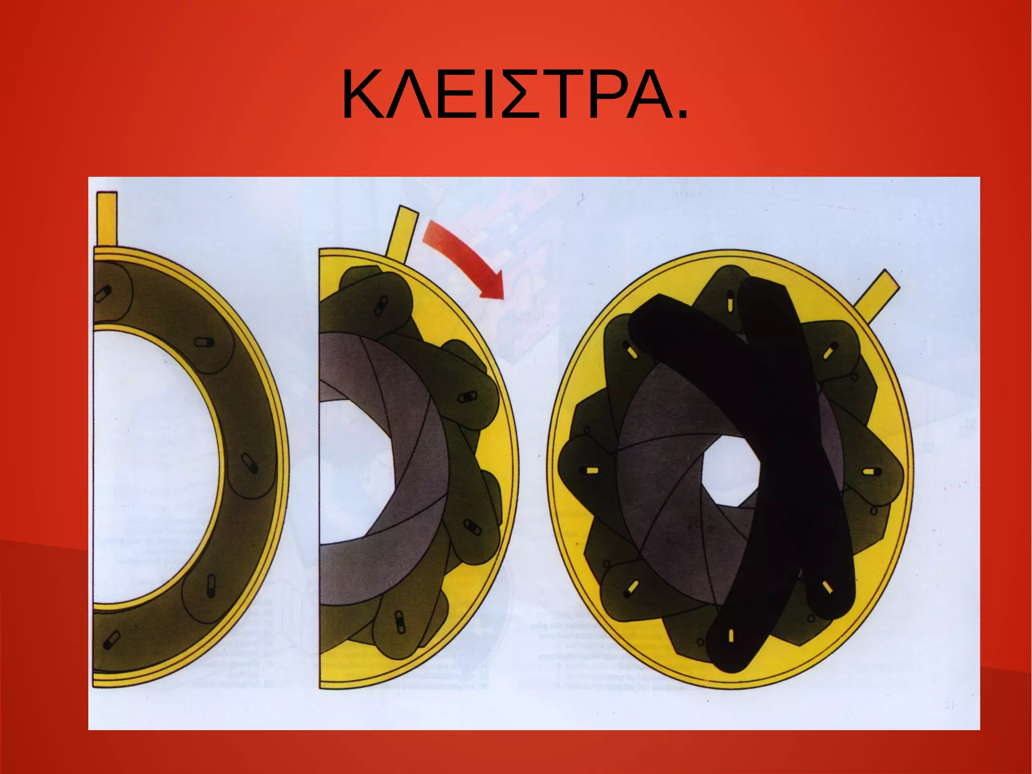 Project a 2014-2015_omada_c | ODP