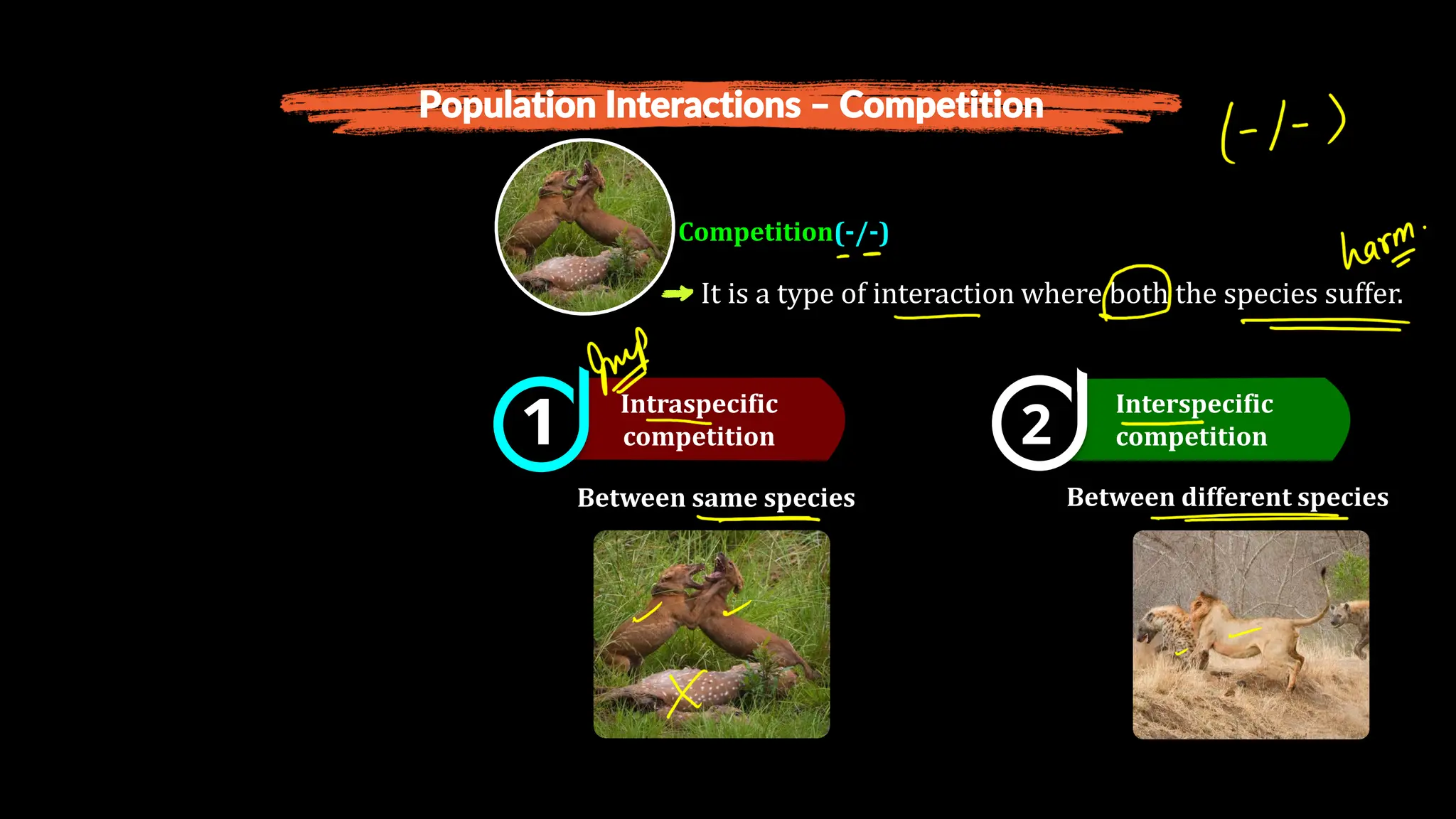 Project and class note.pdf for class 12 g | PDF