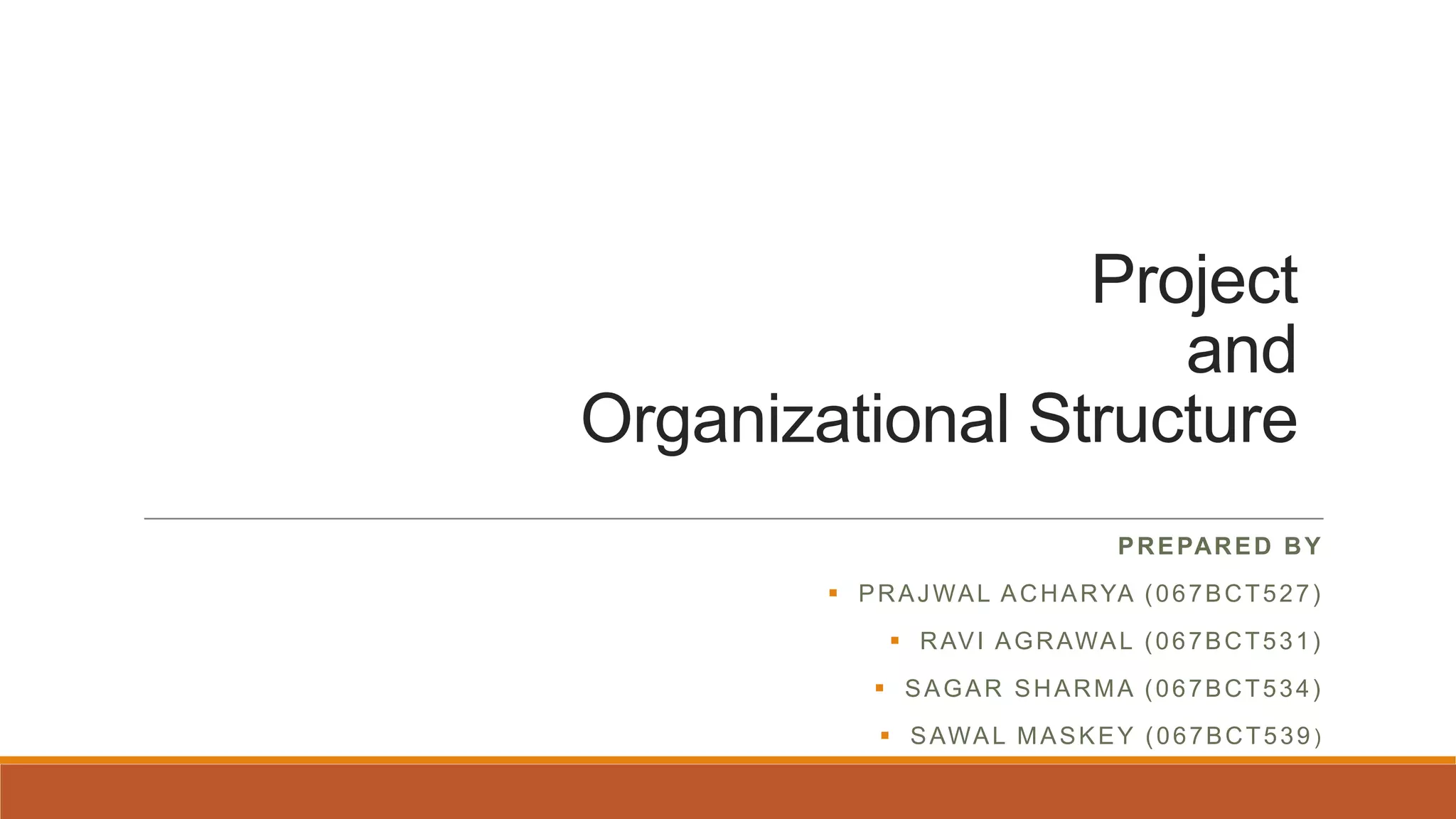 Project and organizational structure | PPTX