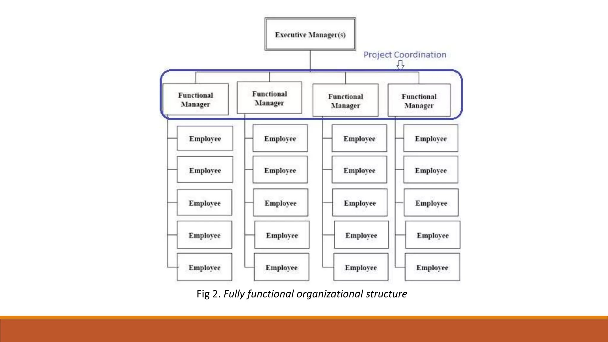 Project and organizational structure | PPTX