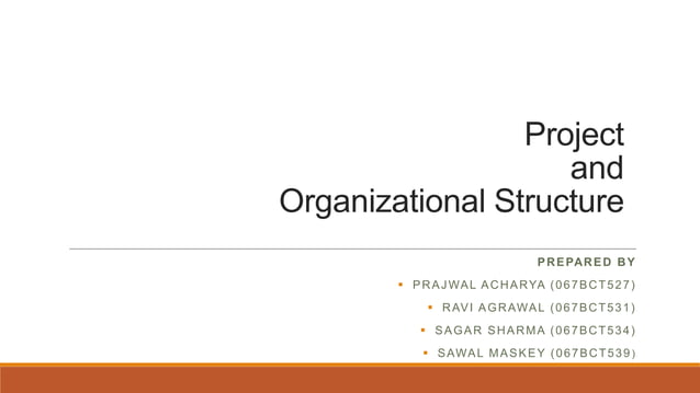 Project and organizational structure | PPTX