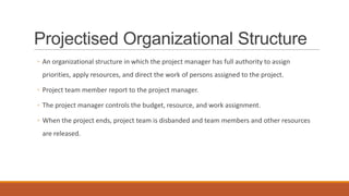 Project and organizational structure | PPTX
