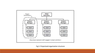 Project and organizational structure | PPTX