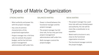 Project and organizational structure | PPTX