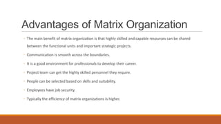 Project and organizational structure | PPTX
