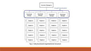 Project and organizational structure | PPTX