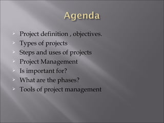 Project and projectmanagement | PPT