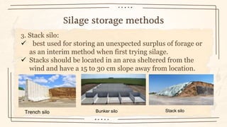 Productivity of Livestock | PPTX