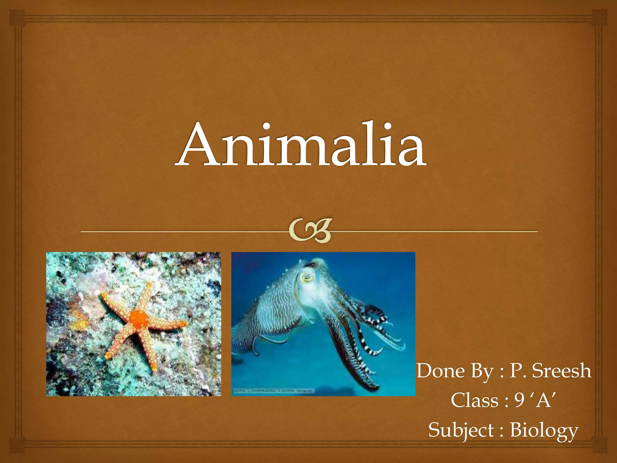 Diversity In Living Organisms (Animalia) | PPTX