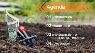 Financing Project Through Structured Finance | PPTX