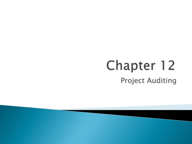 Project auditing | PPT | Databases | Computer Software and Applications