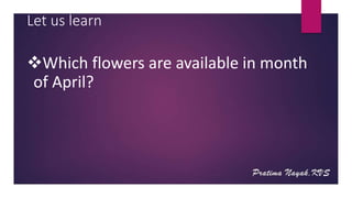 Project based learning Primary Mathematics | PPT