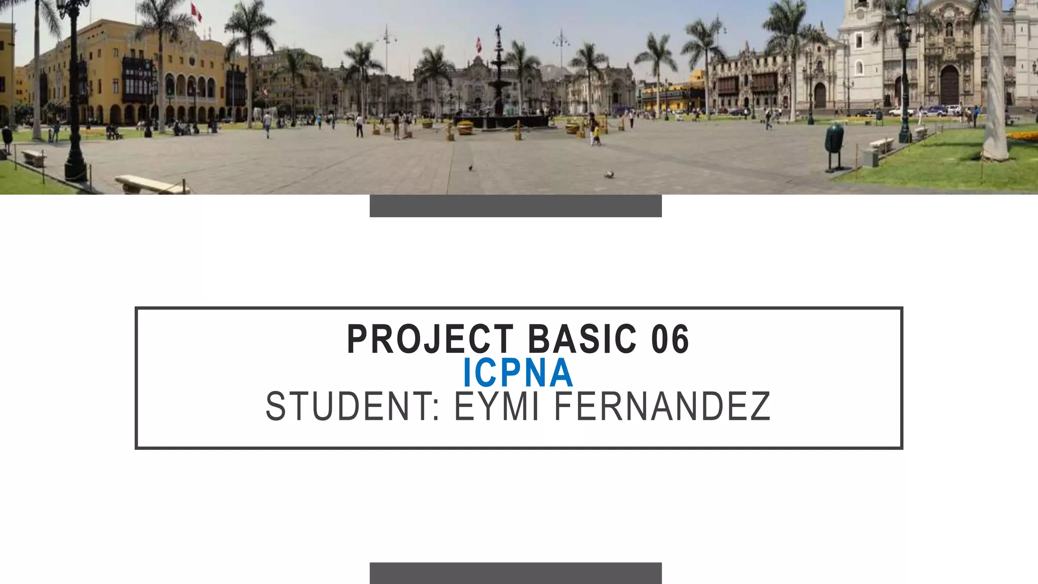 PROJECT BASIC 06.pptx