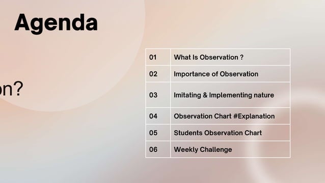 Project Brief Deck.pptx