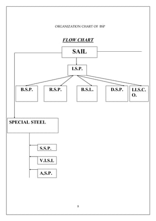 Project bsp marketing | DOCX