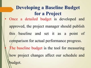 Project Budget.pptx.ppt