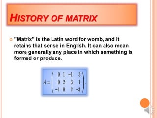 Project business maths | PPT | Free Download