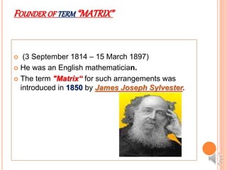 Project business maths | PPT | Free Download