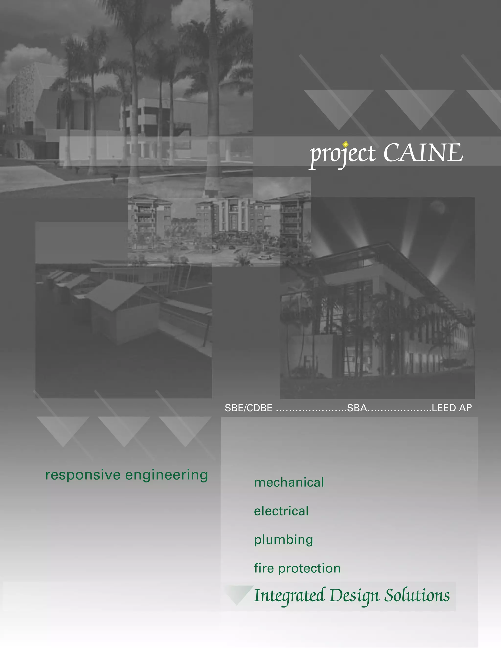 Project Caine Company Brochure | PDF