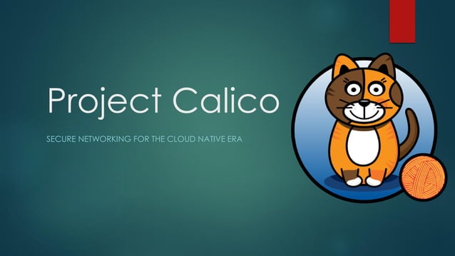 Project calico - introduction | PDF