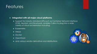 Project calico - introduction | PDF