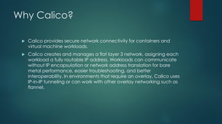 Project calico - introduction | PDF