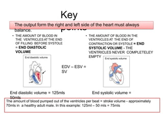 CARDIO VASCULAR SYSTEM - SERIES 1 | PPTX