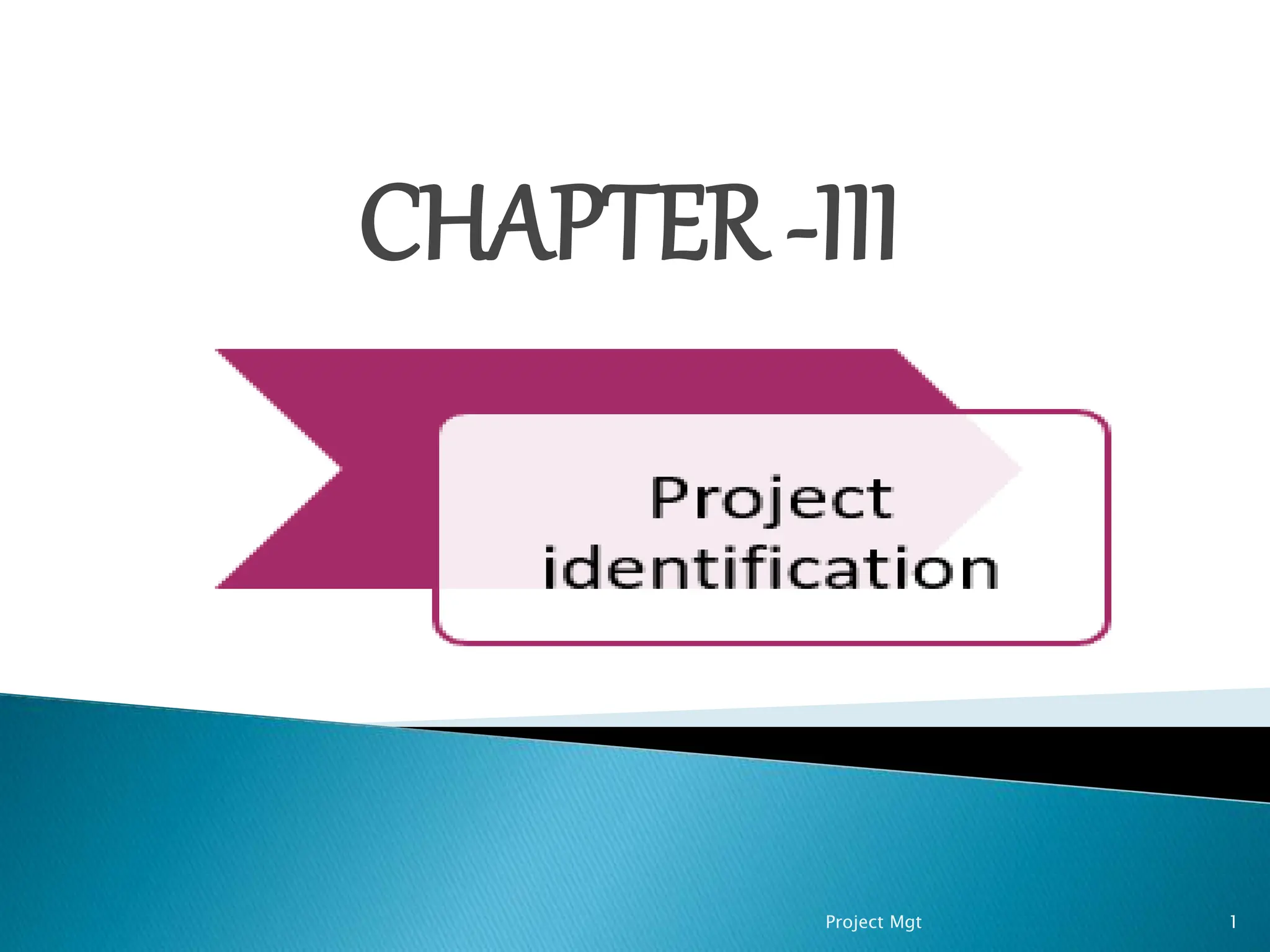 project Ch 3.ppt which talks about project preparation | PPT