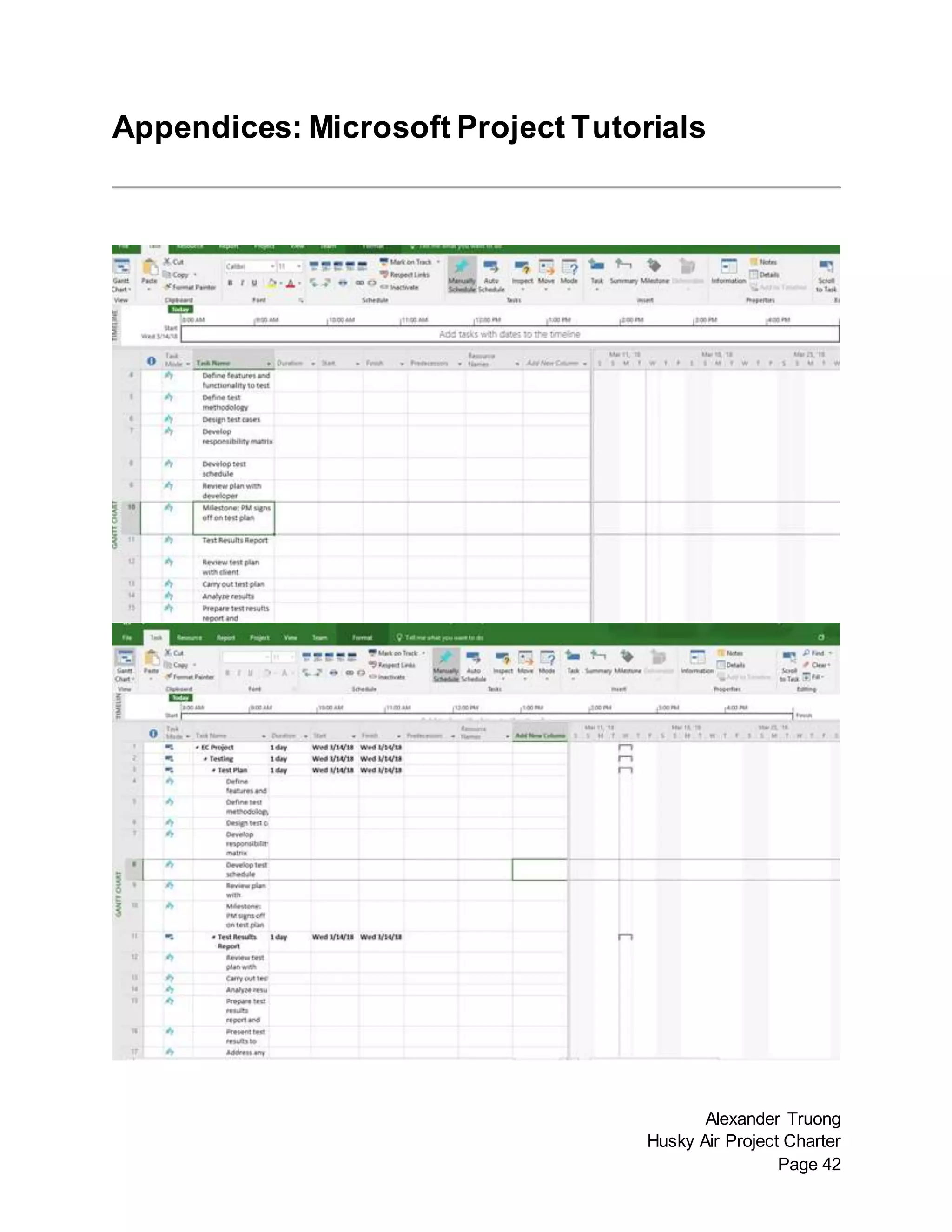 Project Charter Final Report | DOCX