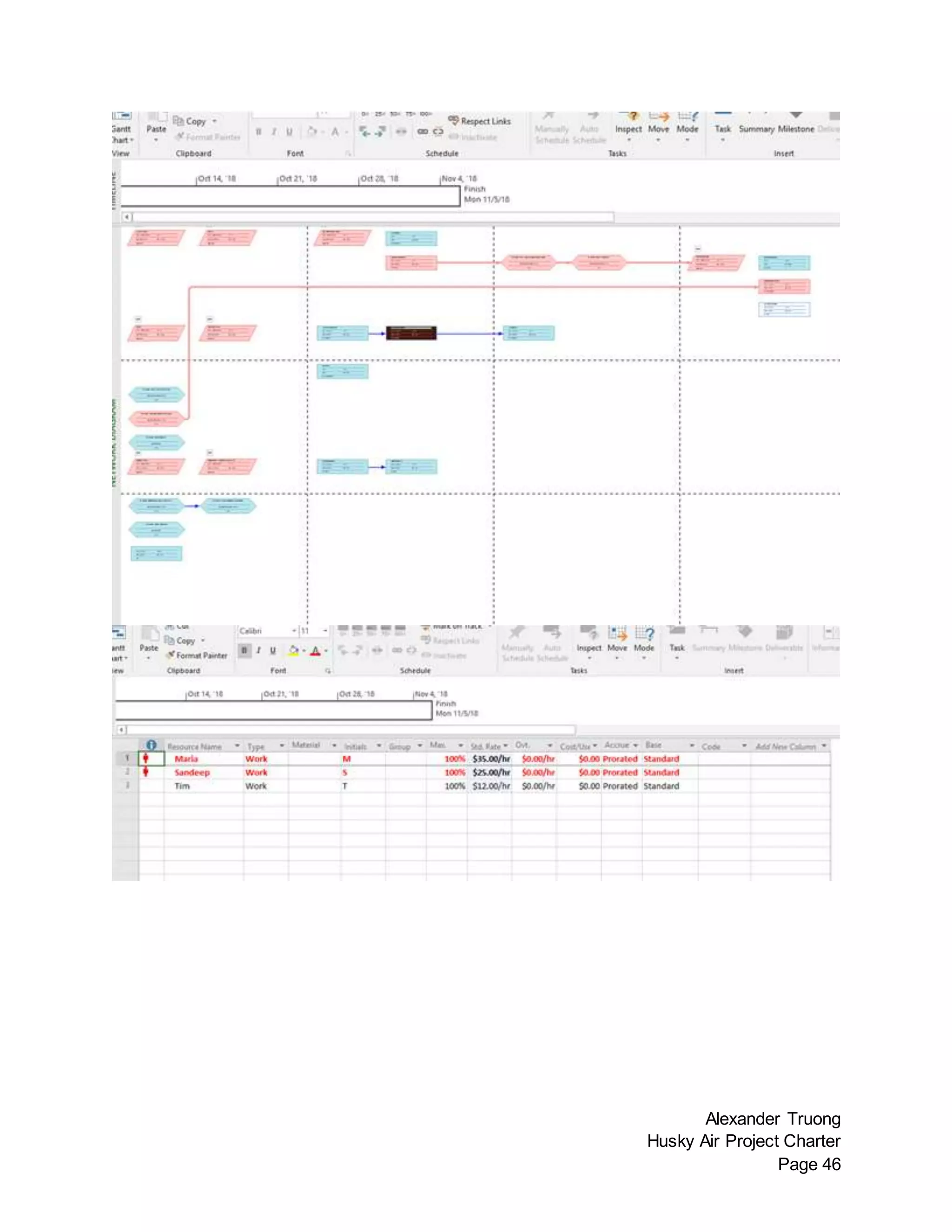 Project Charter Final Report | DOCX