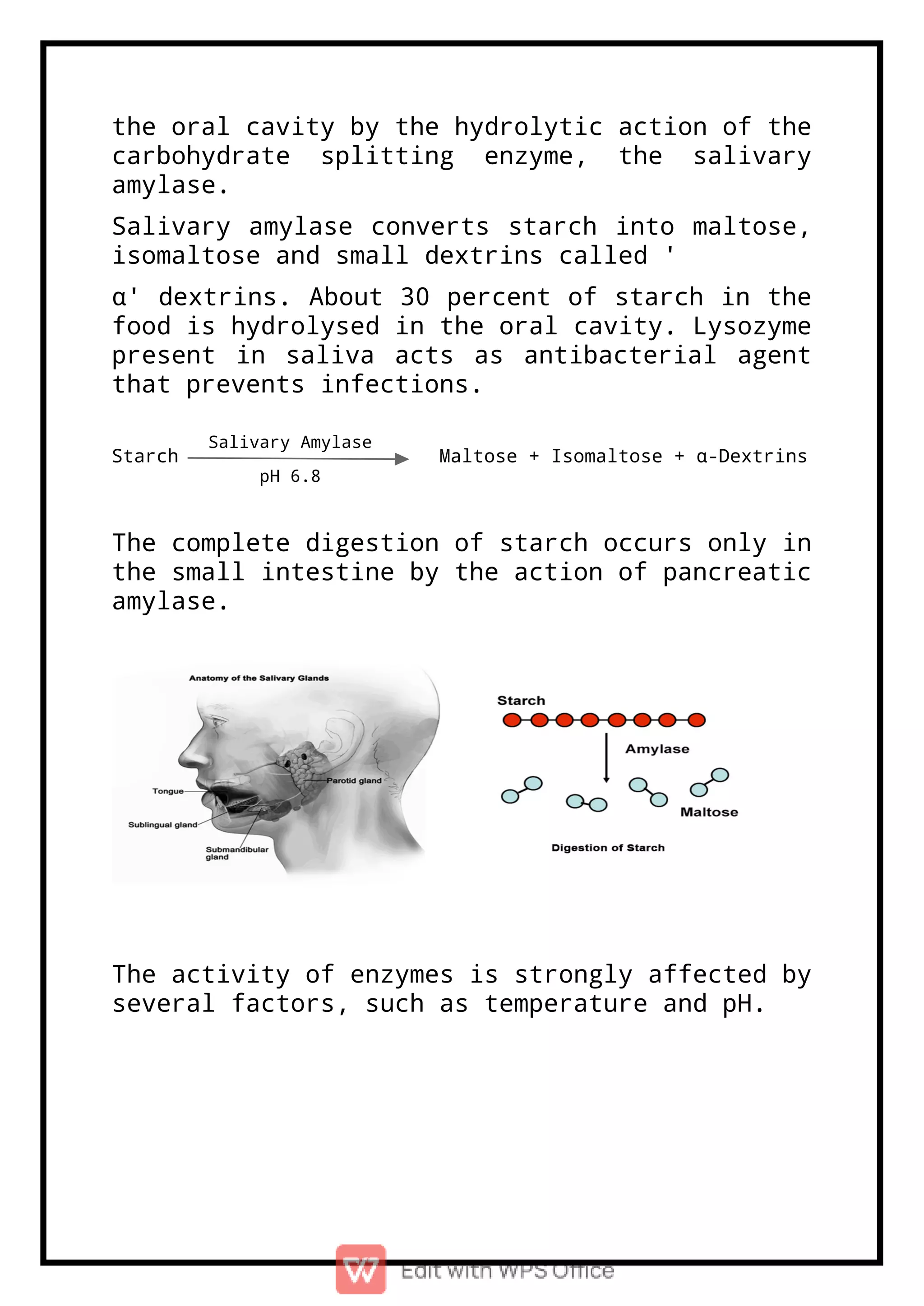 The effect of temperature activity of salivary amylase on starch.pdf