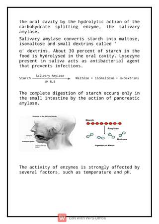 The effect of temperature activity of salivary amylase on starch.pdf