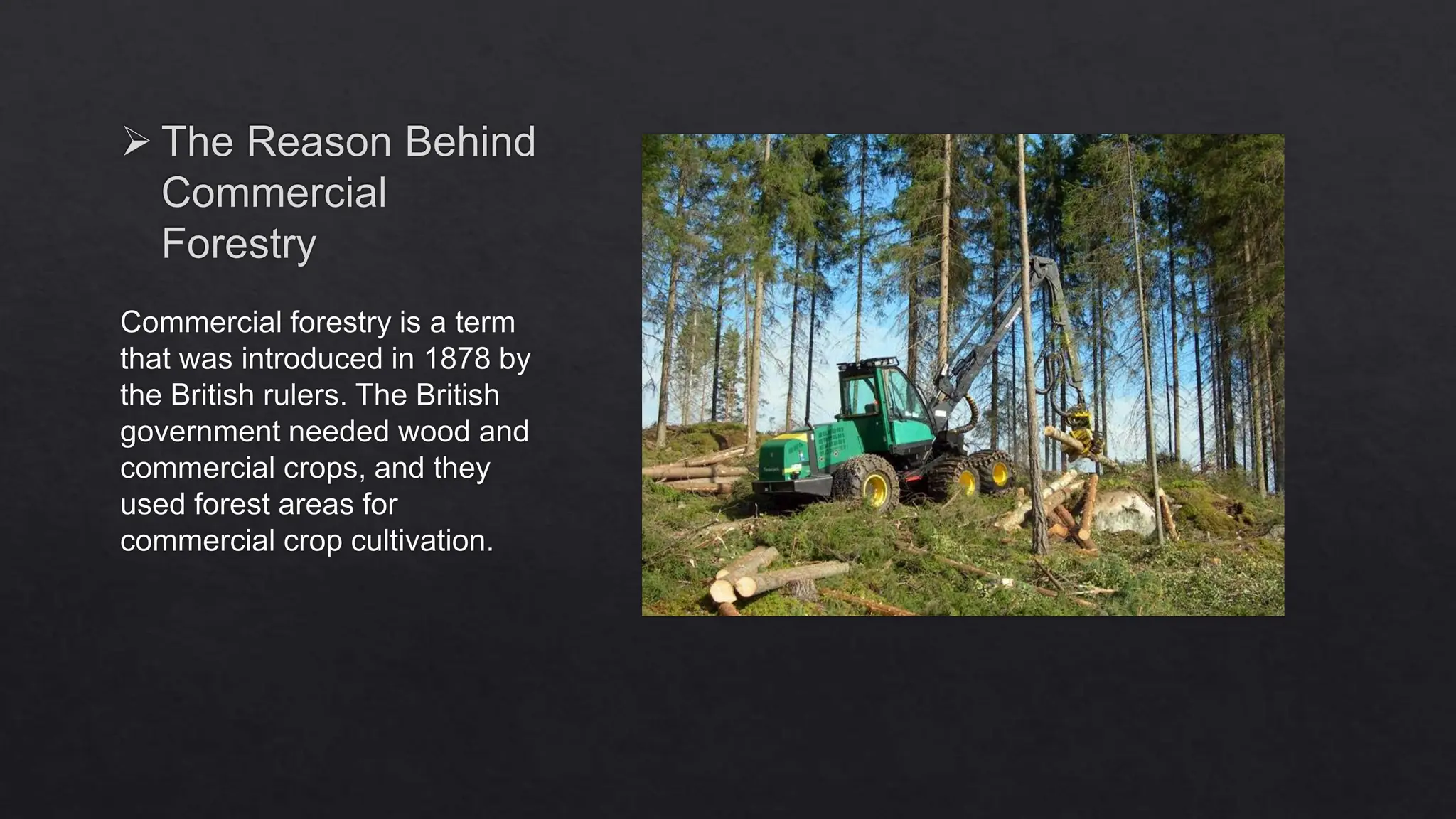 Project Class 9th PPT 123456........pptx