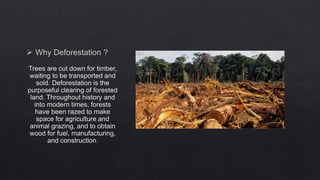 Project Class 9th PPT 123456........pptx