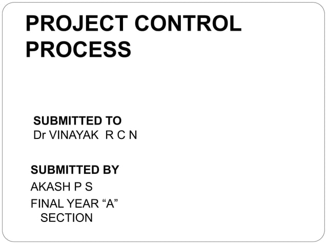 PROJECT CONTROL PROCESS | PPTX | Business | Business and Finance