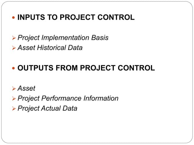 PROJECT CONTROL PROCESS | PPTX | Business | Business and Finance