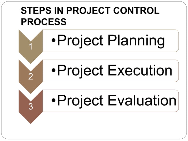 PROJECT CONTROL PROCESS | PPTX | Business | Business and Finance