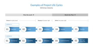 Project Controls Processes | PDF