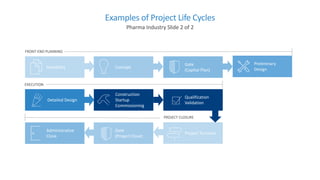 Project Controls Processes | PDF
