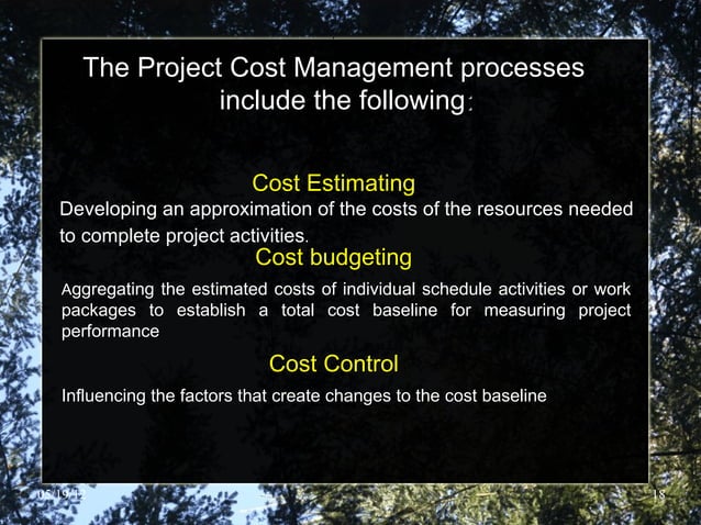 Project cost management-slides | PPT | Business Accounting & Finance ...