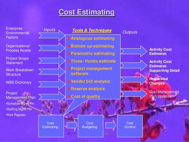 Project cost & control