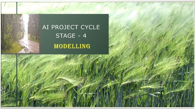 project cycle - summary ARTIFICIAL INTELLIGENCE.pdf | Databases | Computer Software and Applications