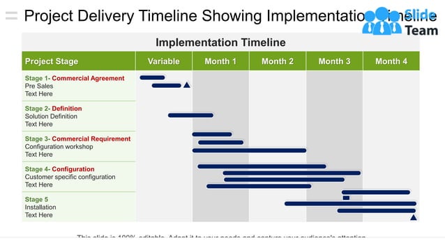 Project Delivery Timeline Showing Implementation Timeline | PDF