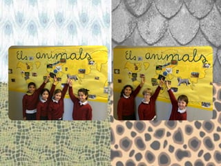 Projecte 3r 1718_animals | PDF